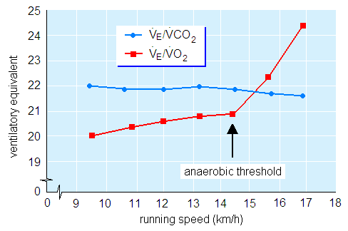 Anaerobic Threshold Definition – Anaerobic Threshold Strength – EOXPNU